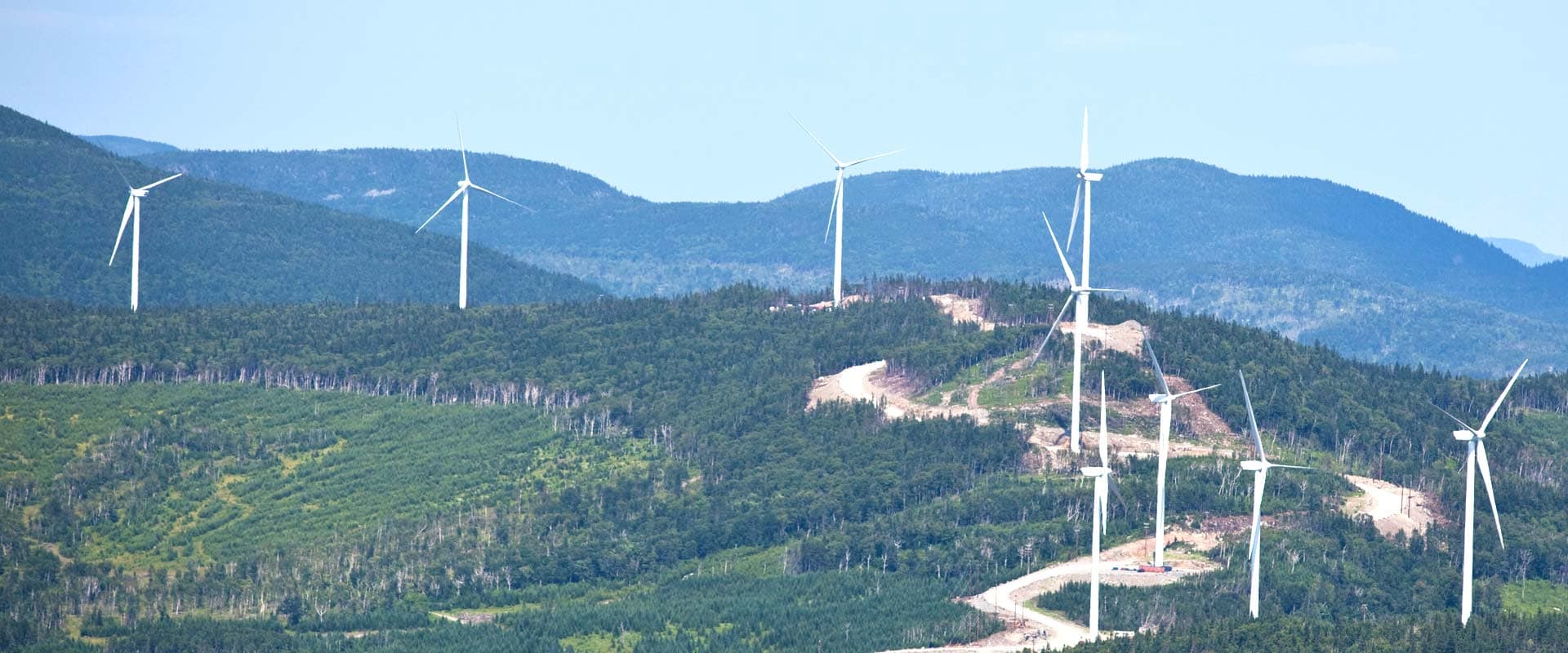 Green Energy Development